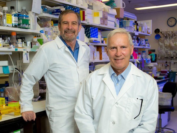 Deciphering Cancer – The Cancer History Project