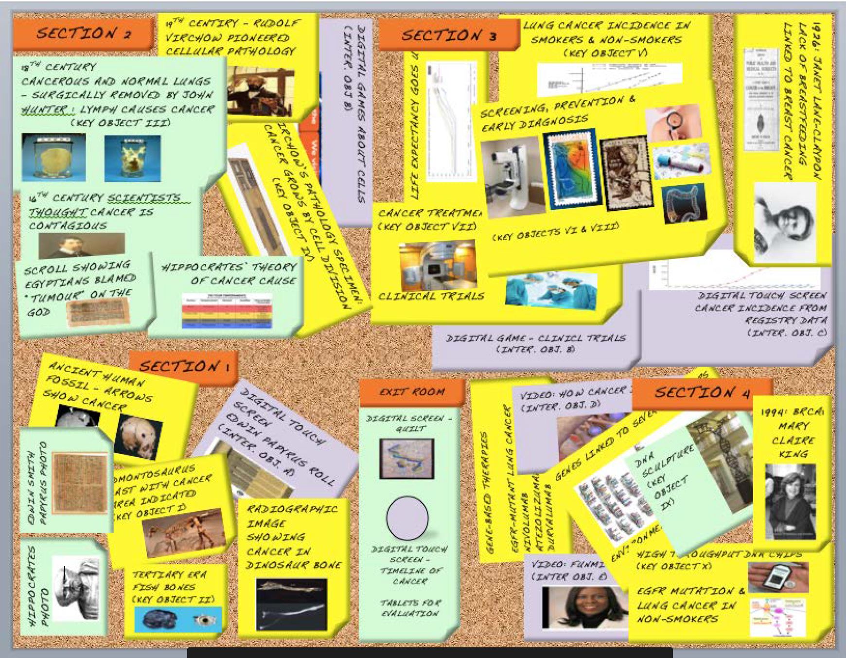 Museum Exhibit: The History of Cancer – The Cancer History Project